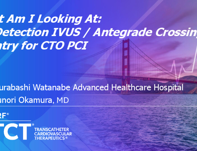 What Am I Looking At: Tip Detection IVUS / Antegrade Crossing and ...